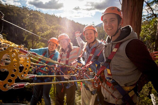 Launceston Hollybank Tree Ropes Experience - Launceston Hollybank Tree Ropes Experience