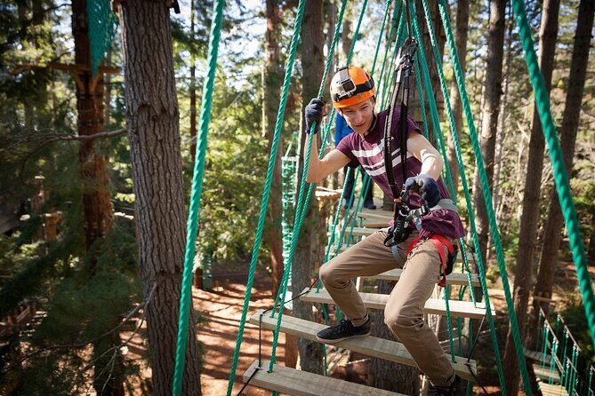 Launceston Hollybank Tree Ropes Experience - Why This Experience Is Worthwhile