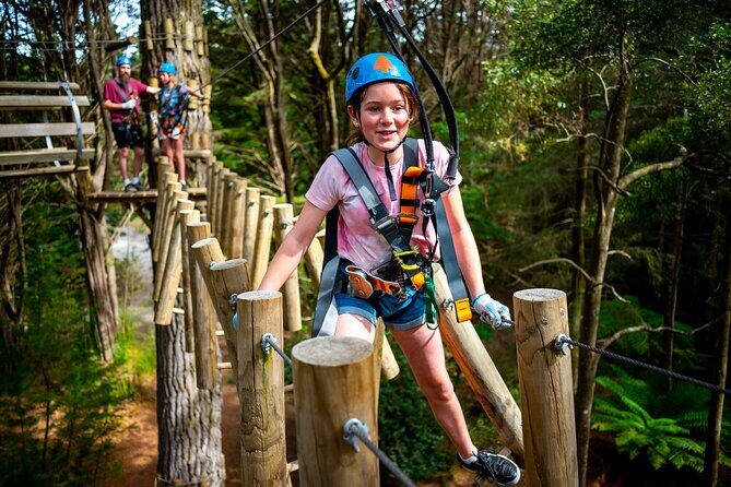 Launceston Hollybank Tree Ropes Experience - The Sum Up