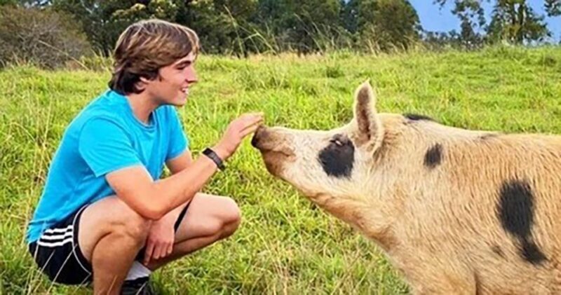Laupahoehoe: Farm Animal Sanctuary Private Tour - The Itinerary and Overall Experience