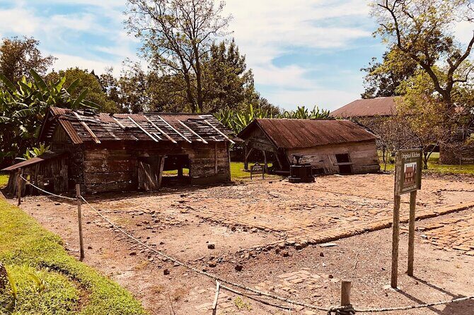 Laura Plantation Half-Day Tour from New Orleans - Final Thoughts