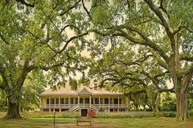 Laura Plantation Tour with Transportation - An Overview of the Experience