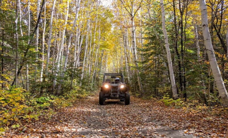 Laurentians: guided buggy tour - The Experience in Detail
