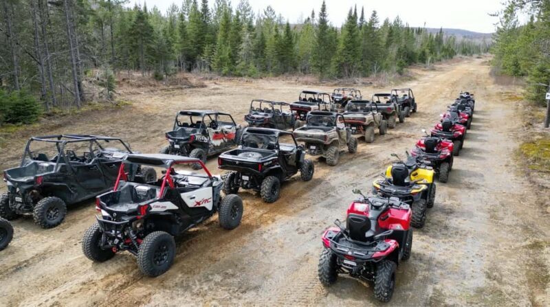 Laurentians: guided buggy tour - Who Should Book This Tour?