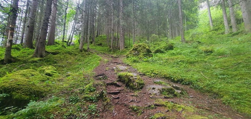 Lauterbrunnen: Private Walking Tour with an Irish Guide - Key Points