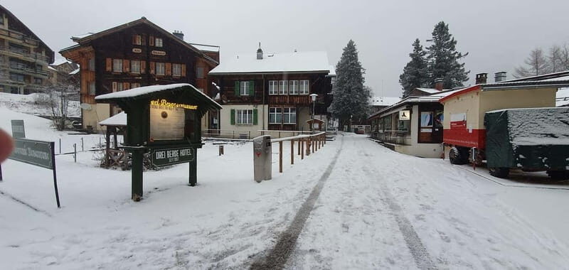 Lauterbrunnen: Private Walking Tour with an Irish Guide - What’s Included and What’s Not