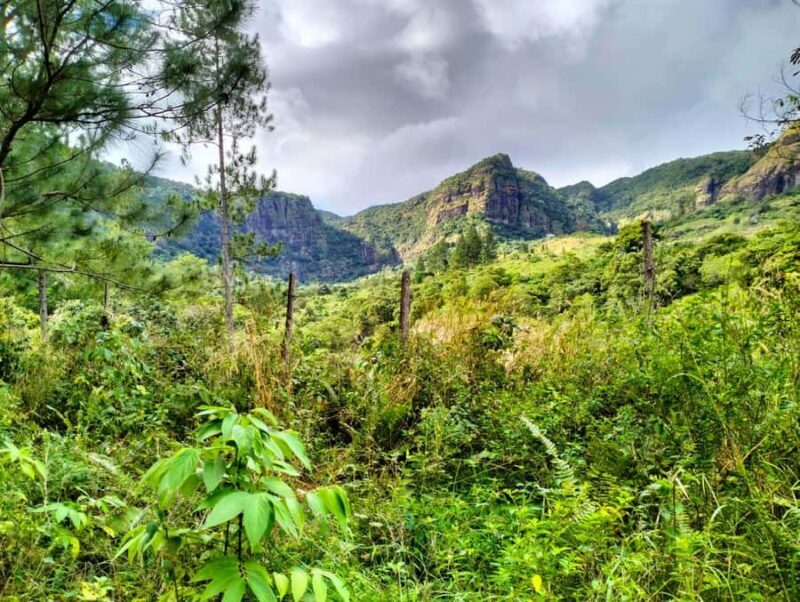 Lautoka CruiseShip Port to Abaca Waterfall Hiking Round Trip - Key Points