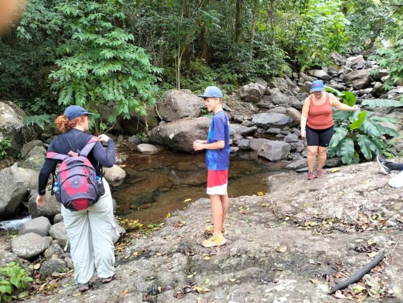Lautoka CruiseShip Port to Abaca Waterfall Hiking Round Trip - Authentic Experience or Commercial Tour?