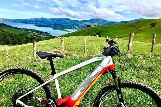 Lava Loop- Guided electric mountain bike tour in Akaroa - An Overview of the Experience