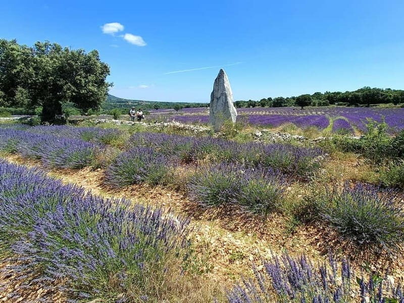 Lavande Guided Tour And Live Distillation - Final Thoughts: Who Should Consider This Experience