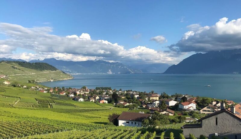 Lavaux: Vineyard Experience - Who Should Consider This Tour?