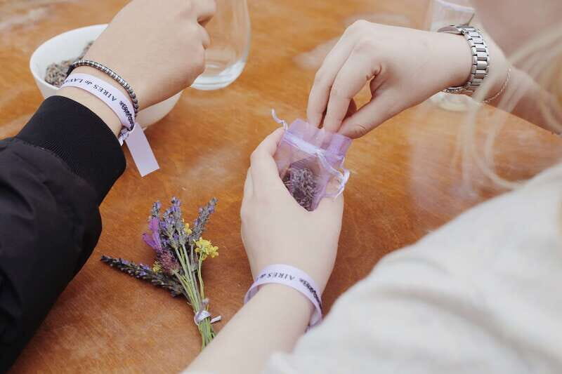 Lavender Experience Valle de Guadalupe - Guided Field Tour - Why This Tour Works
