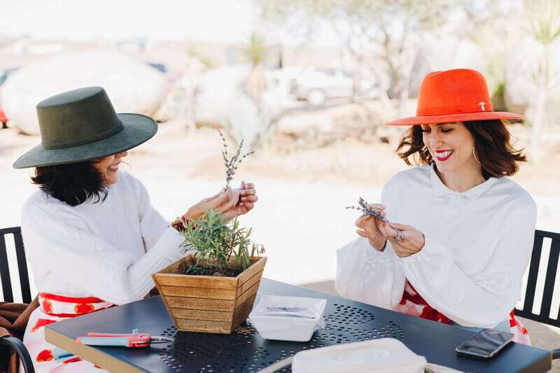 Lavender Experience Valle de Guadalupe - Guided Field Tour - Practical Tips for Visitors