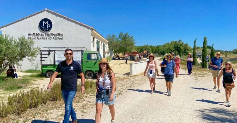 Lavender Field & Distillery Tour between Nimes & Arles - A Detailed Look at the Lavender & Distillery Tour