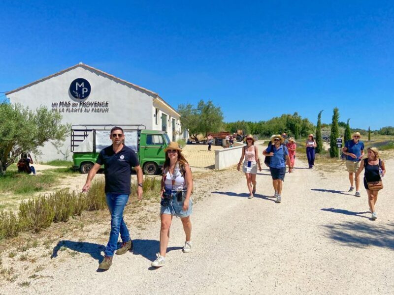 Lavender Field & Distillery Tour between Nimes & Arles - Who Should Book This Tour?