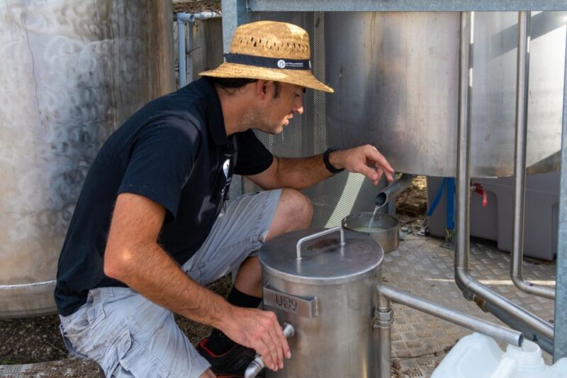 Lavender Field & Distillery Tour between Nimes & Arles - FAQs