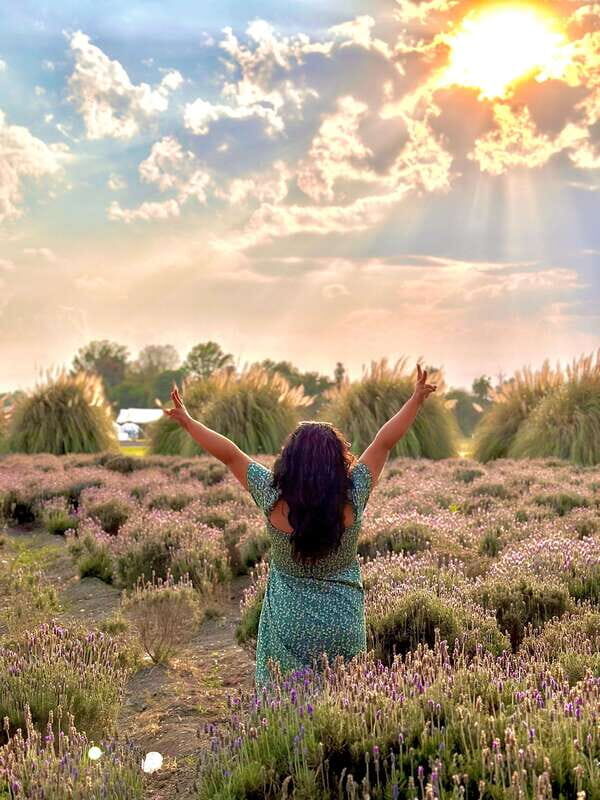 Lavender Ranch, Chautla and Val`Quirico. - Lavender Ranch, Chautla and Val`Quirico: A Beautiful Blend of Nature, History, and Culture in Puebla