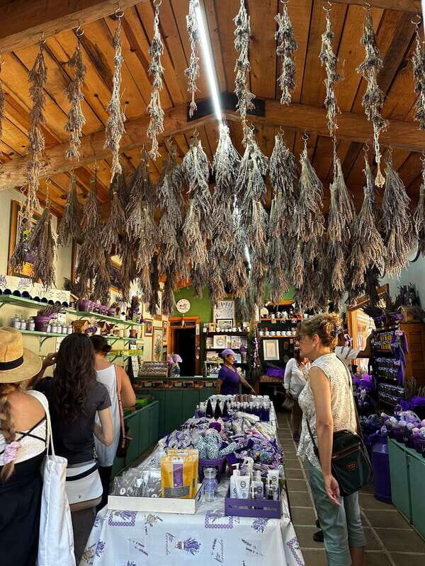 Lavender Ranch, Chautla and Val`Quirico. - Key Points