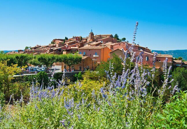 Lavender Tour Sault from Marseille - Why You’ll Love This Tour