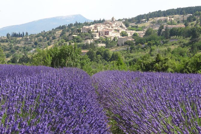Lavender Tour Sault from Marseille - Key Points