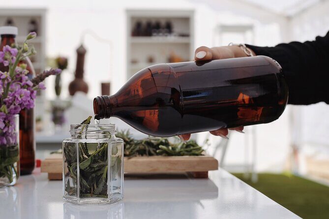 Lavender Workshop - Authentic Insights from Visitors
