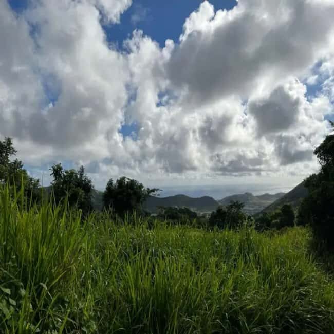 Lawyer Stephen Hike with Waterfall and Cave Hike - Practical Considerations: What to Know Before You Go