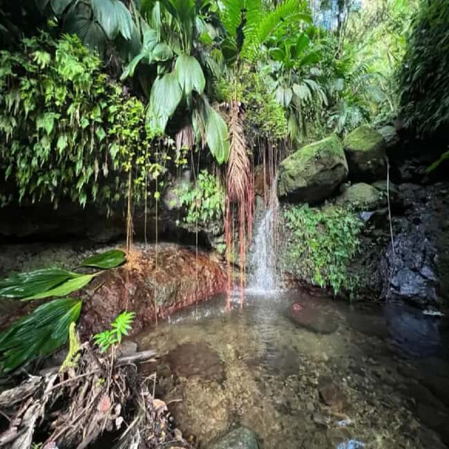 Lawyer Stephen Hike with Waterfall and Cave Hike - Why This Tour Offers Real Value
