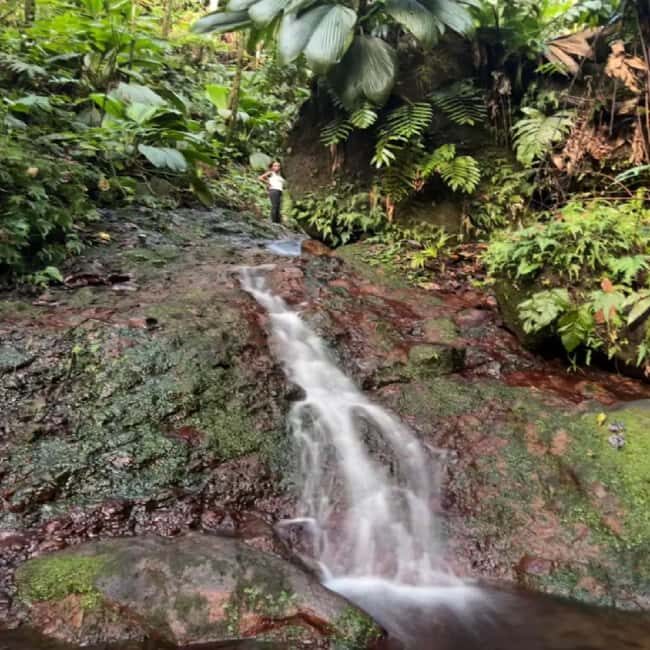 Lawyer Stephen Hike with Waterfall and Cave Hike - The Sum Up