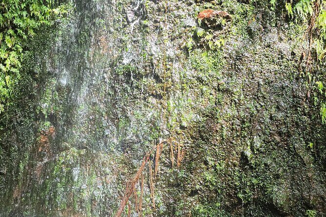 Lawyer Stephens Cave & Waterfalls Hike - Pricing and Value