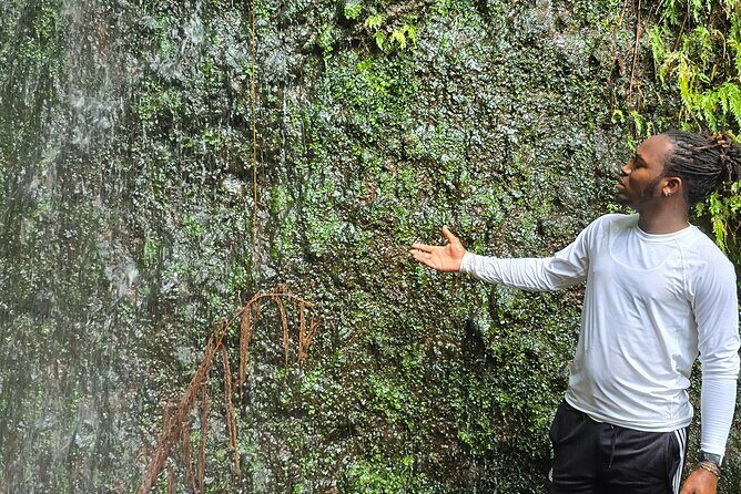 Lawyer Stephens Cave & Waterfalls Hike - Frequently Asked Questions