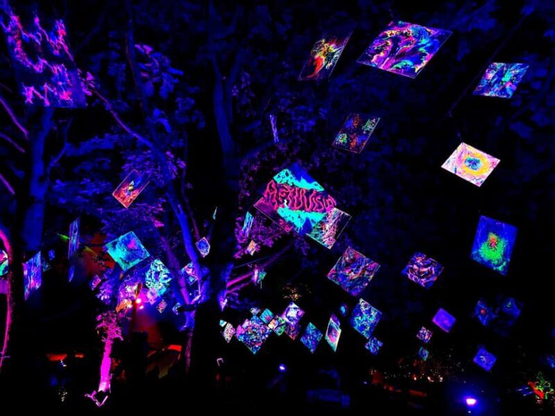 Laxenburg Castle Park: ILLUMINA Austria's largest light garden - ticket - Key Points