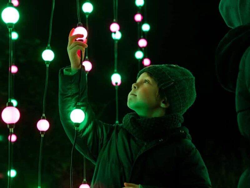 Laxenburg Castle Park: ILLUMINA Austria's largest light garden - ticket - A Closer Look at the Highlights