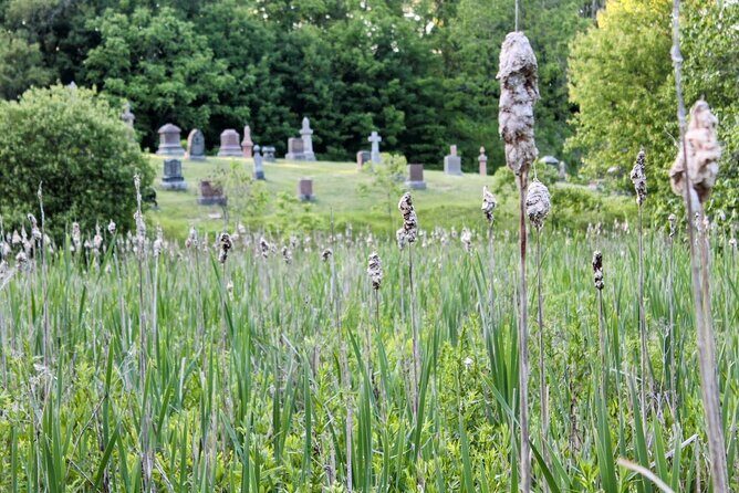Layers of Natural History: Picton Nature Self-Guided Audio Tour - Value and Suitability