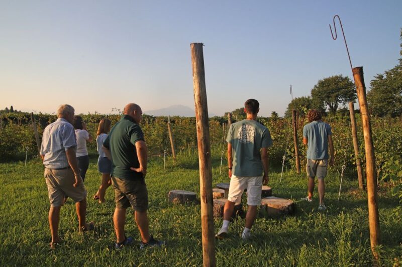 Lazise: Beekeeping Farm Tour and Tasting Experience - What Makes the Lazise Beekeeping Farm Tour Special?