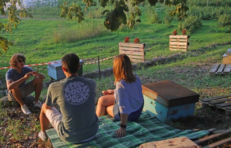 Lazise: Beekeeping Farm Tour and Tasting Experience - Authenticity and Atmosphere: Why It Matters