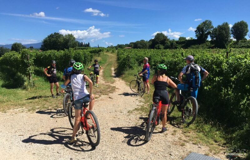 Lazise: Bike Tour and Wine Tasting - Lazise: Bike Tour and Wine Tasting - A Genuine Taste of Lake Garda’s Countryside