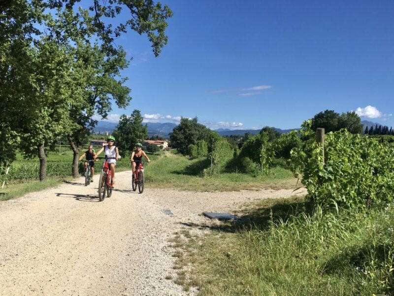 Lazise: Bike Tour and Wine Tasting - An Authentic Experience on Two Wheels