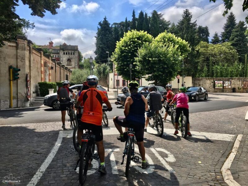 Lazise: Bike Tour and Wine Tasting - Who Will Love This Tour?