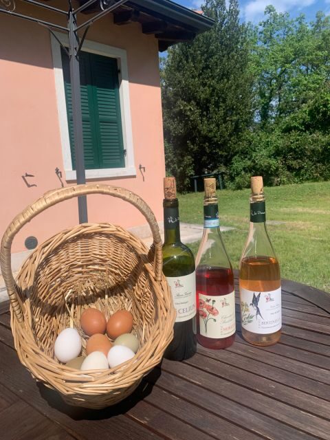 Lazise: Biodynamic Farm Tour and Natural Wine Tasting - Key Points