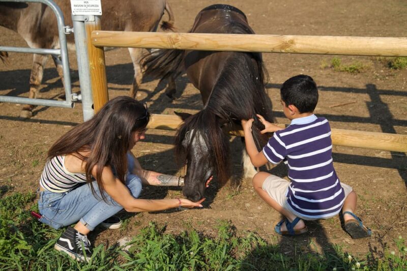 Lazise: Biodynamic Farm Tour and Natural Wine Tasting - An In-Depth Look at the Biodynamic Farm Tour