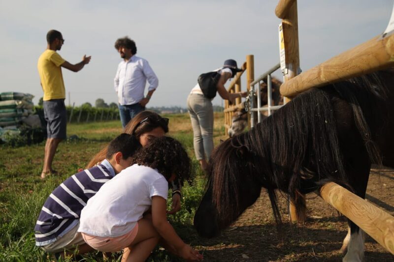 Lazise: Biodynamic Farm Tour and Natural Wine Tasting - Frequently Asked Questions