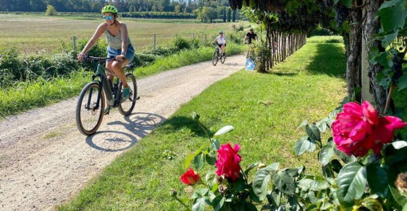 Lazise: Countryside e-Bike Tour with Wine Tasting - Final Thoughts