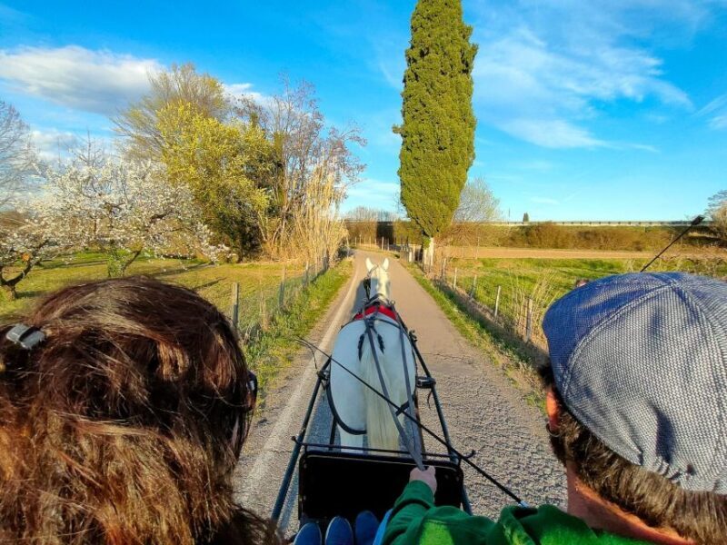 Lazise: horse carriage tour with tasting of local products - Key Points