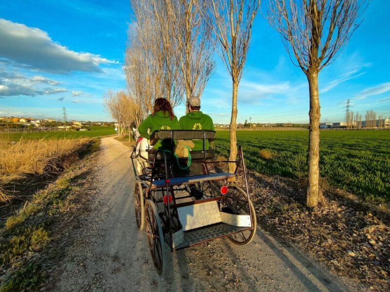 Lazise: horse carriage tour with tasting of local products - The Tasting Experience