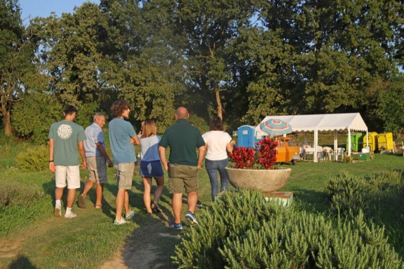 Lazise: horse carriage tour with tasting of local products - Practicalities and Logistics