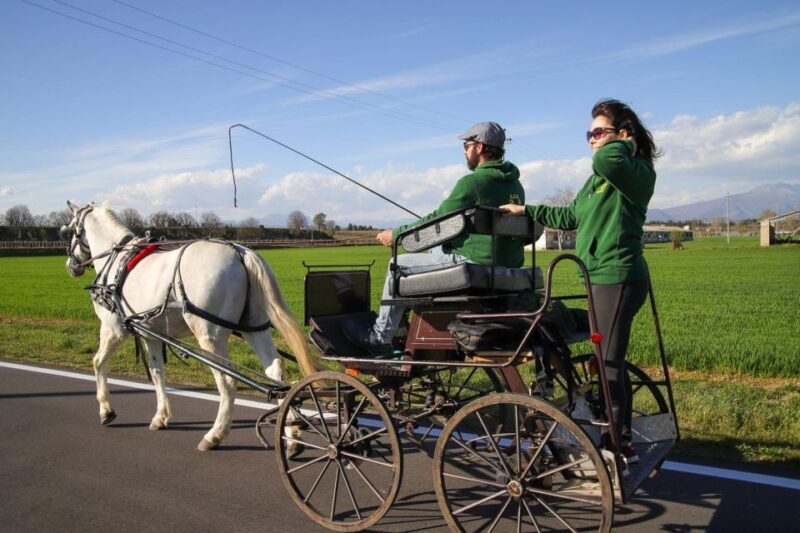 Lazise: horse carriage tour with tasting of local products - What to Keep in Mind