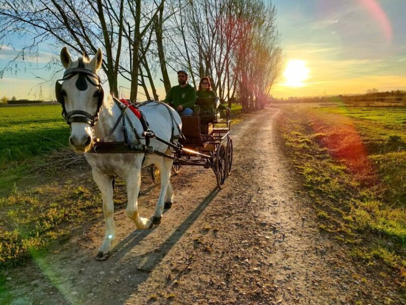 Lazise: horse carriage tour with tasting of local products - The Sum Up