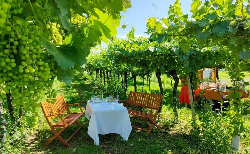 Lazise: Horseback Riding and Farm Picnic local food - Key Points