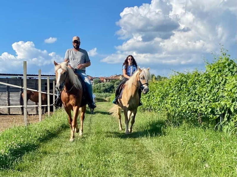Lazise: Horseback Riding and Farm Picnic local food - An Introduction to the Experience