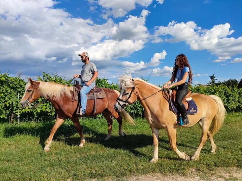 Lazise: Horseback Riding and Farm Picnic local food - The Practical Details